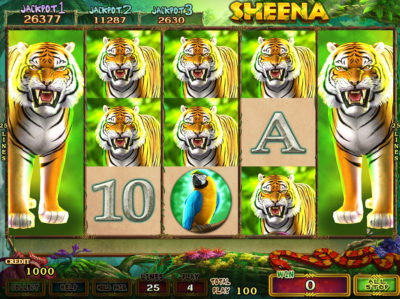 Sheena 25 line XGA game by IGS - American Alpha