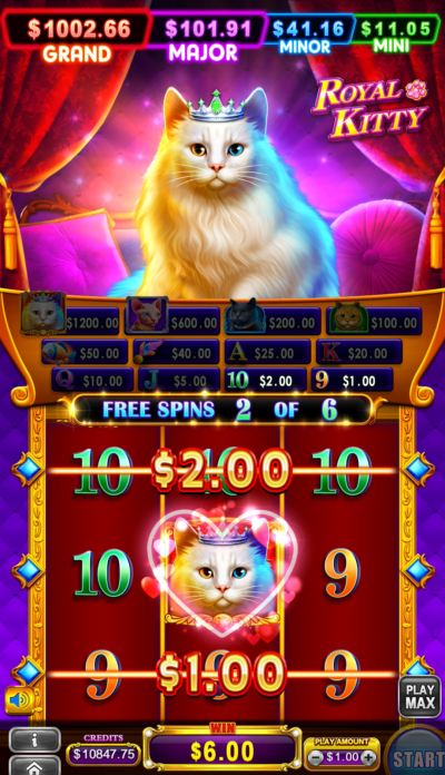 Infinite Link Neon - American Alpha